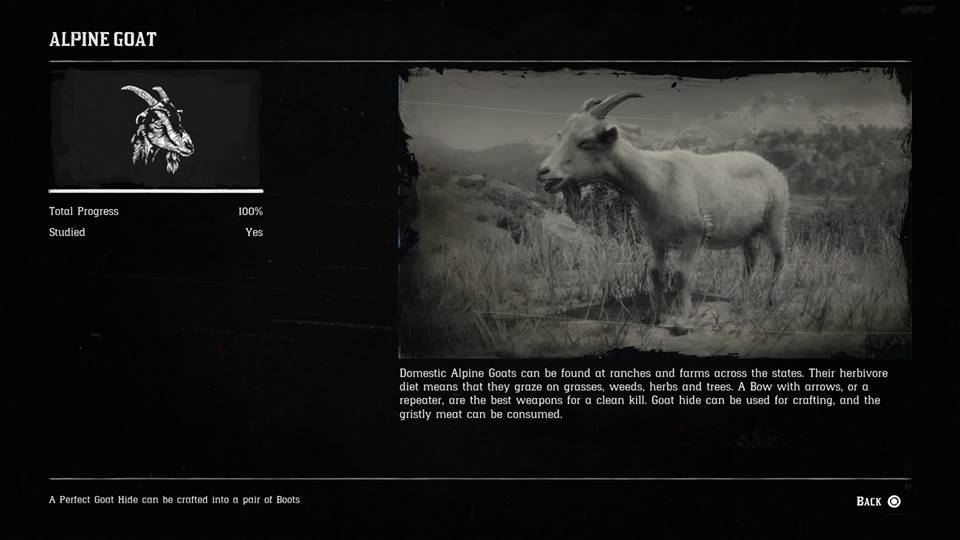 Hunting Page 5 - Red Dead Redemption 2 Walkthrough - Neoseeker