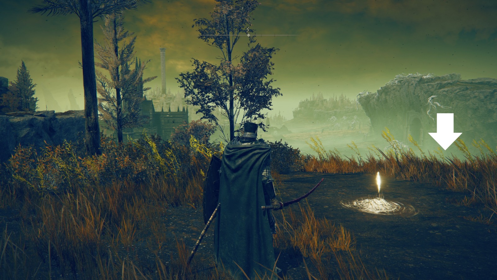 Shadow of the Erdtree - Scadu Altus, West Walkthrough - Elden Ring ...