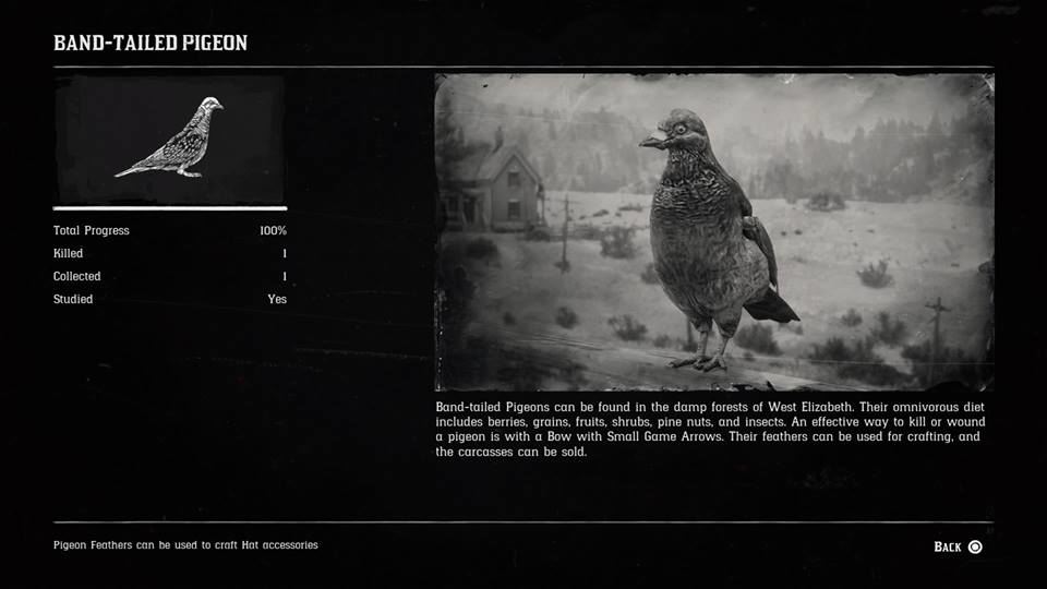 Hunting Page 7 - Red Dead Redemption 2 Walkthrough - Neoseeker