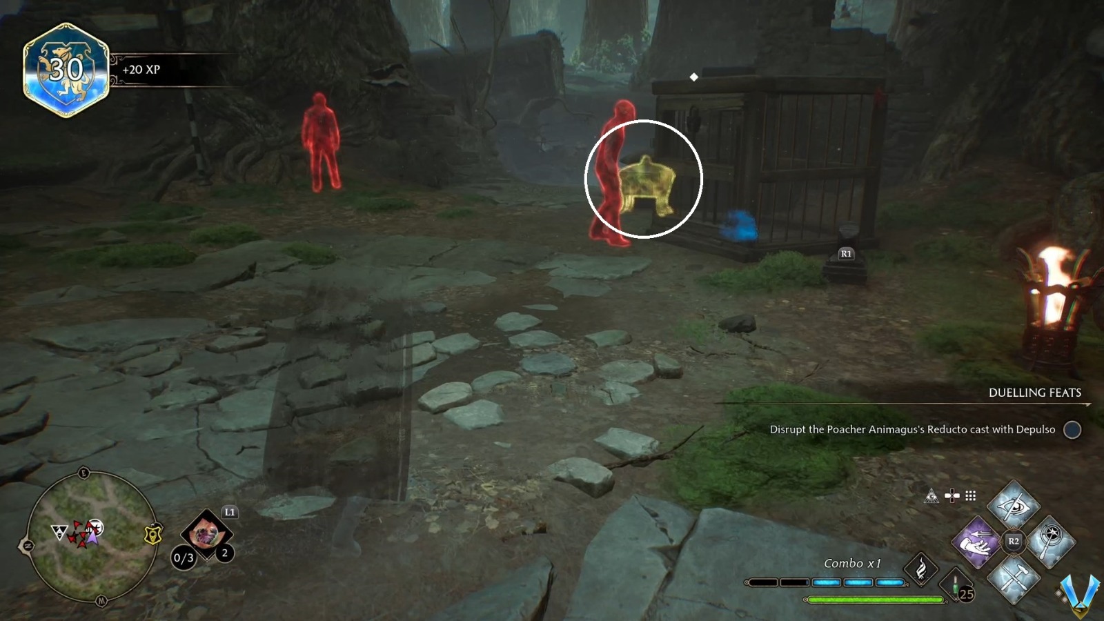 Hogwarts Legacy - All Collection Chests - Forbidden Forest Locations Guide - Neoseeker