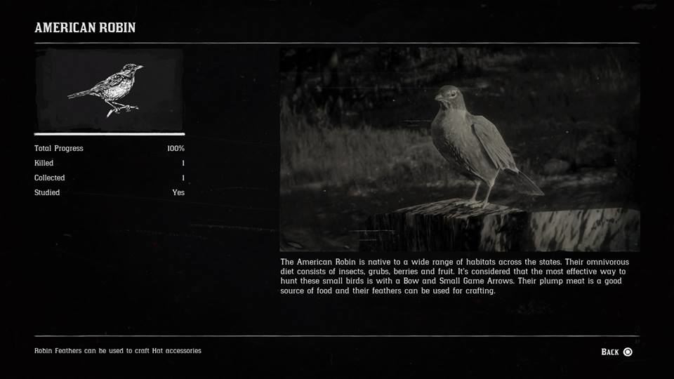 Hunting Page 9 - Red Dead Redemption 2 Walkthrough - Neoseeker