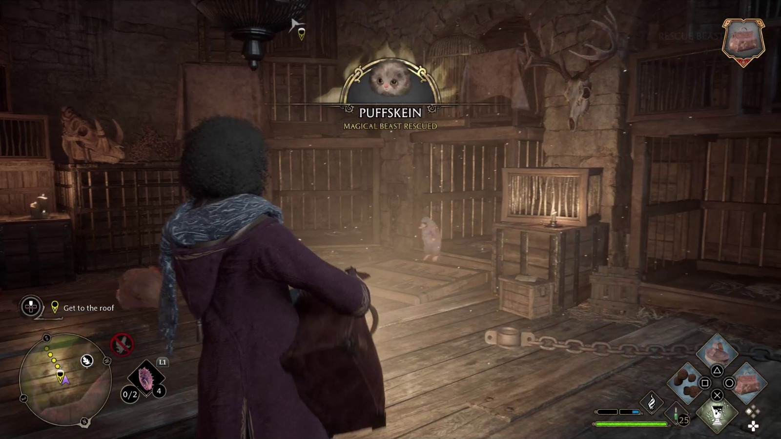 The High Keep - Hogwarts Legacy Walkthrough - Neoseeker