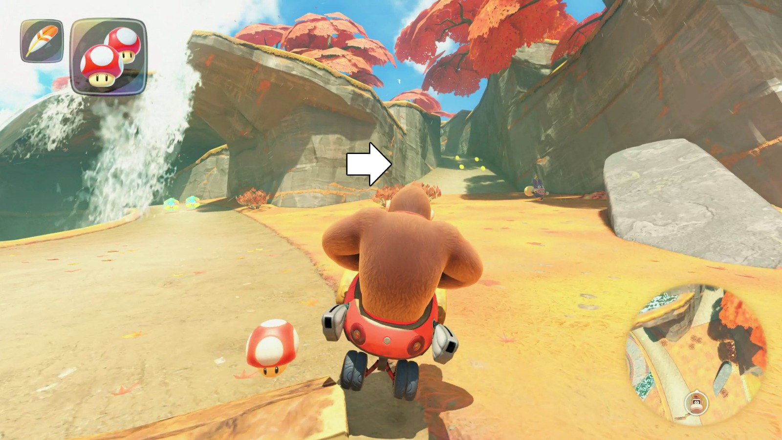 Cheep Cheep Falls Hidden ? Panel Locations - Mario Kart World ...