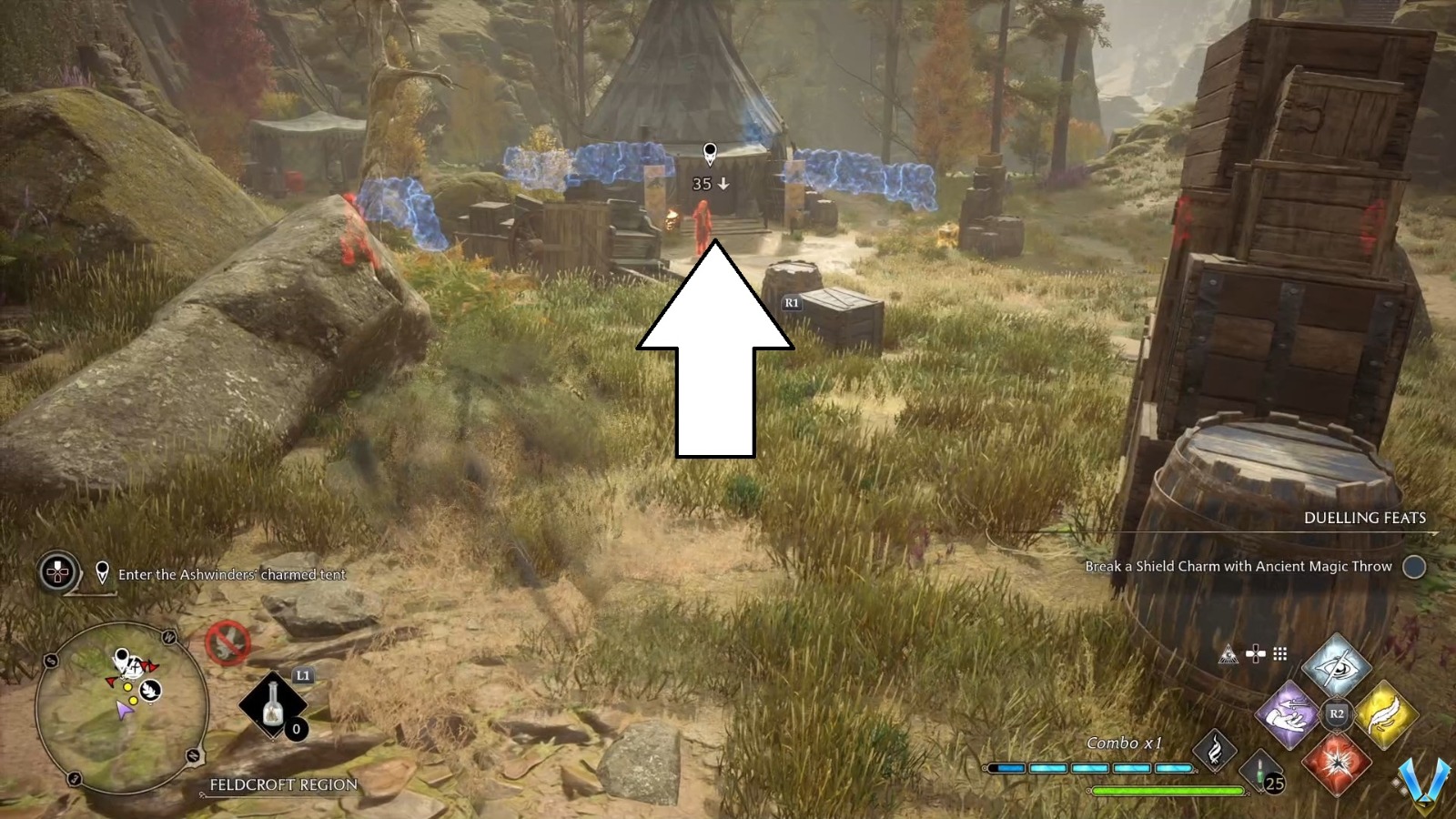 The Lost Child - Hogwarts Legacy Walkthrough - Neoseeker