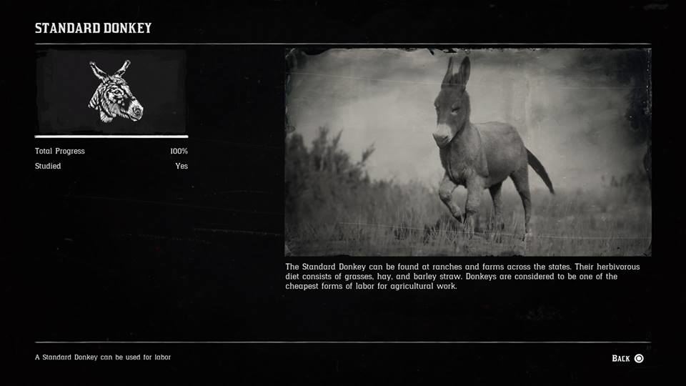 Hunting Page 4 - Red Dead Redemption 2 Walkthrough - Neoseeker