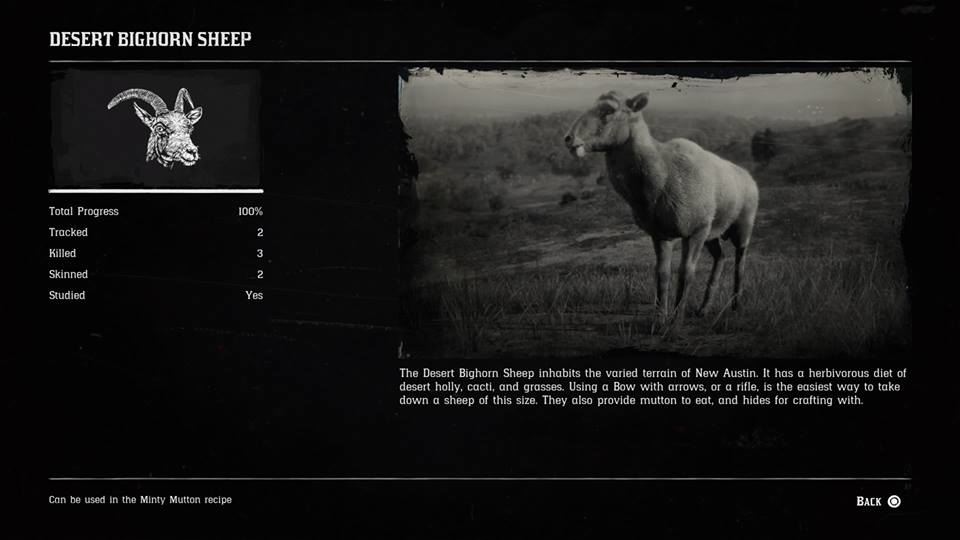 Hunting Page 8 - Red Dead Redemption 2 Walkthrough - Neoseeker