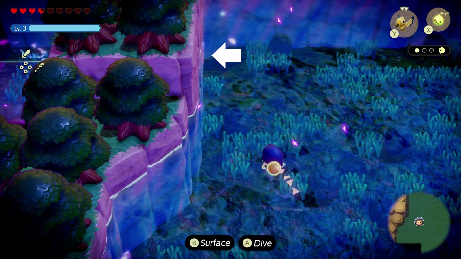 Optional Rift: Stilled Lake Hylia - The Legend of Zelda: Echoes of ...