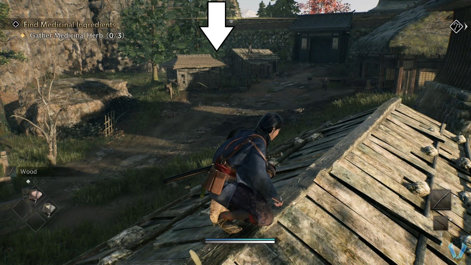 Grass Roots Mission - Find Medicinal Ingredients - Rise of the Ronin ...