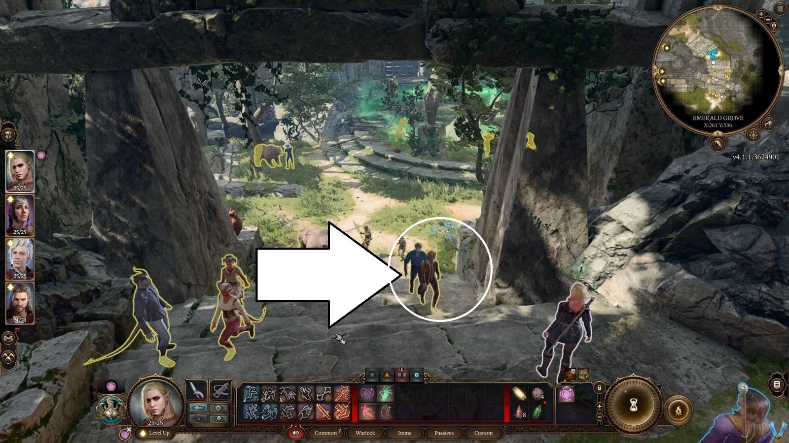 Druids' Grove Overview - Baldur's Gate 3 Walkthrough - Neoseeker