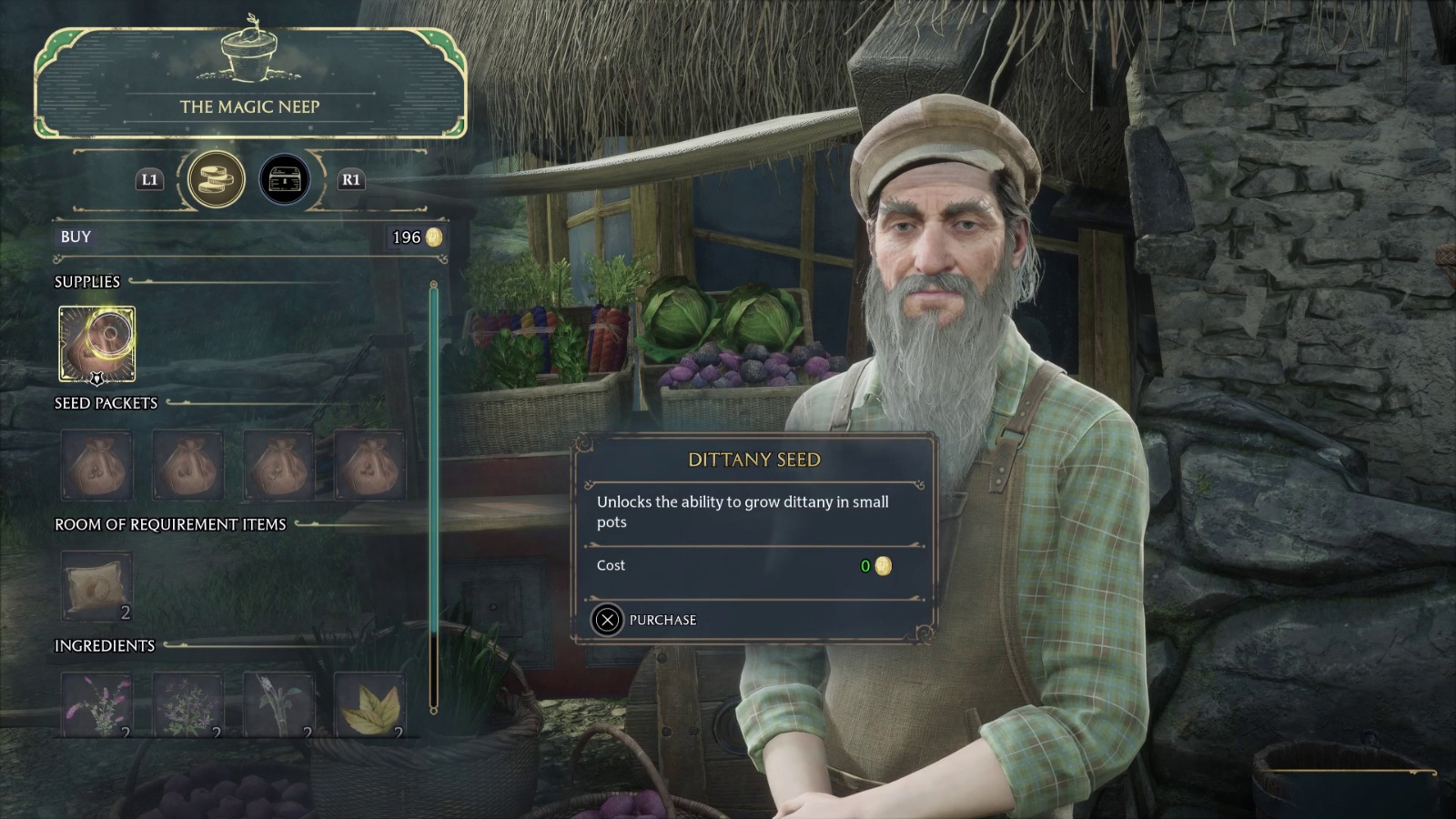 Professor Garlicks Assignment 2 - Hogwarts Legacy Walkthrough - Neoseeker