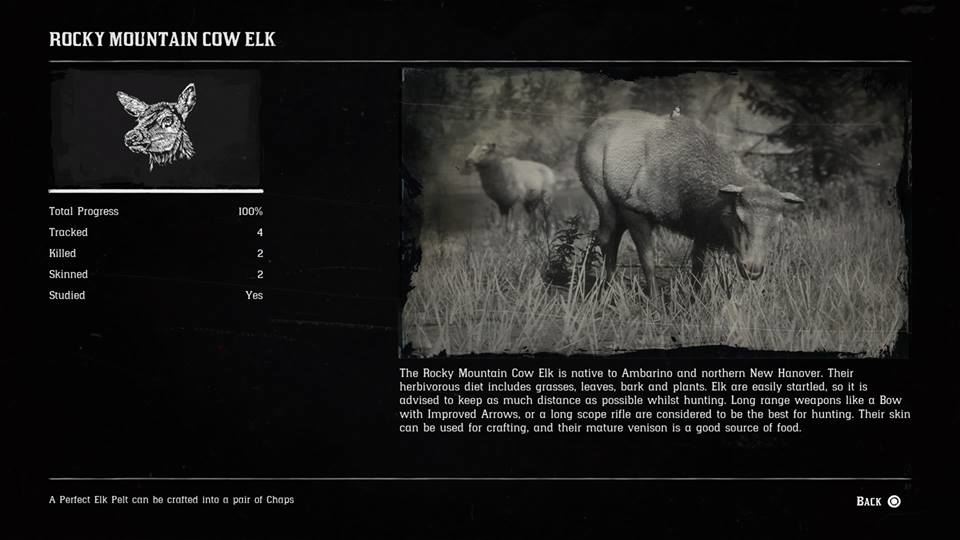 Hunting Page 5 - Red Dead Redemption 2 Walkthrough - Neoseeker