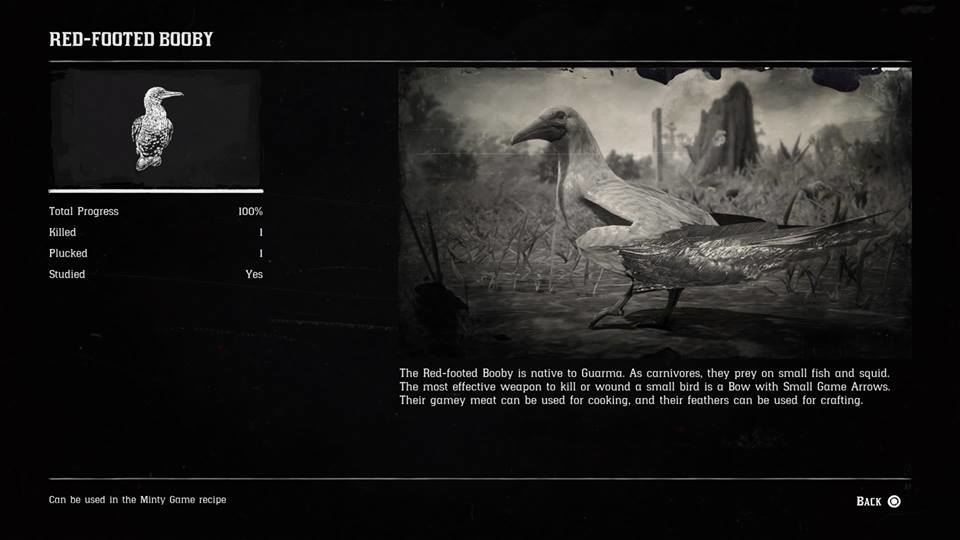 Hunting Page 9 - Red Dead Redemption 2 Walkthrough - Neoseeker