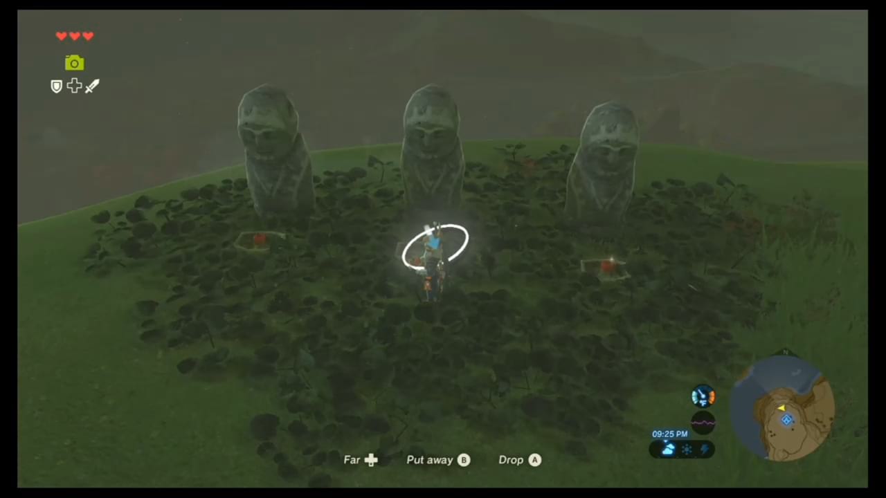 Korok Seeds Overview - The Legend of Zelda: Breath of the Wild ...