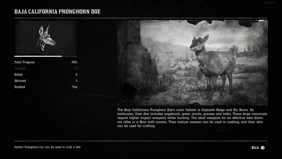 Hunting Page 8 - Red Dead Redemption 2 Walkthrough - Neoseeker