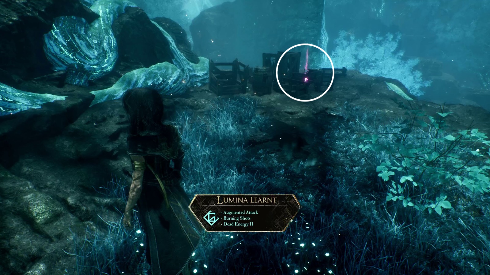 Spring Meadows - Clair Obscur: Expedition 33 Walkthrough - Neoseeker