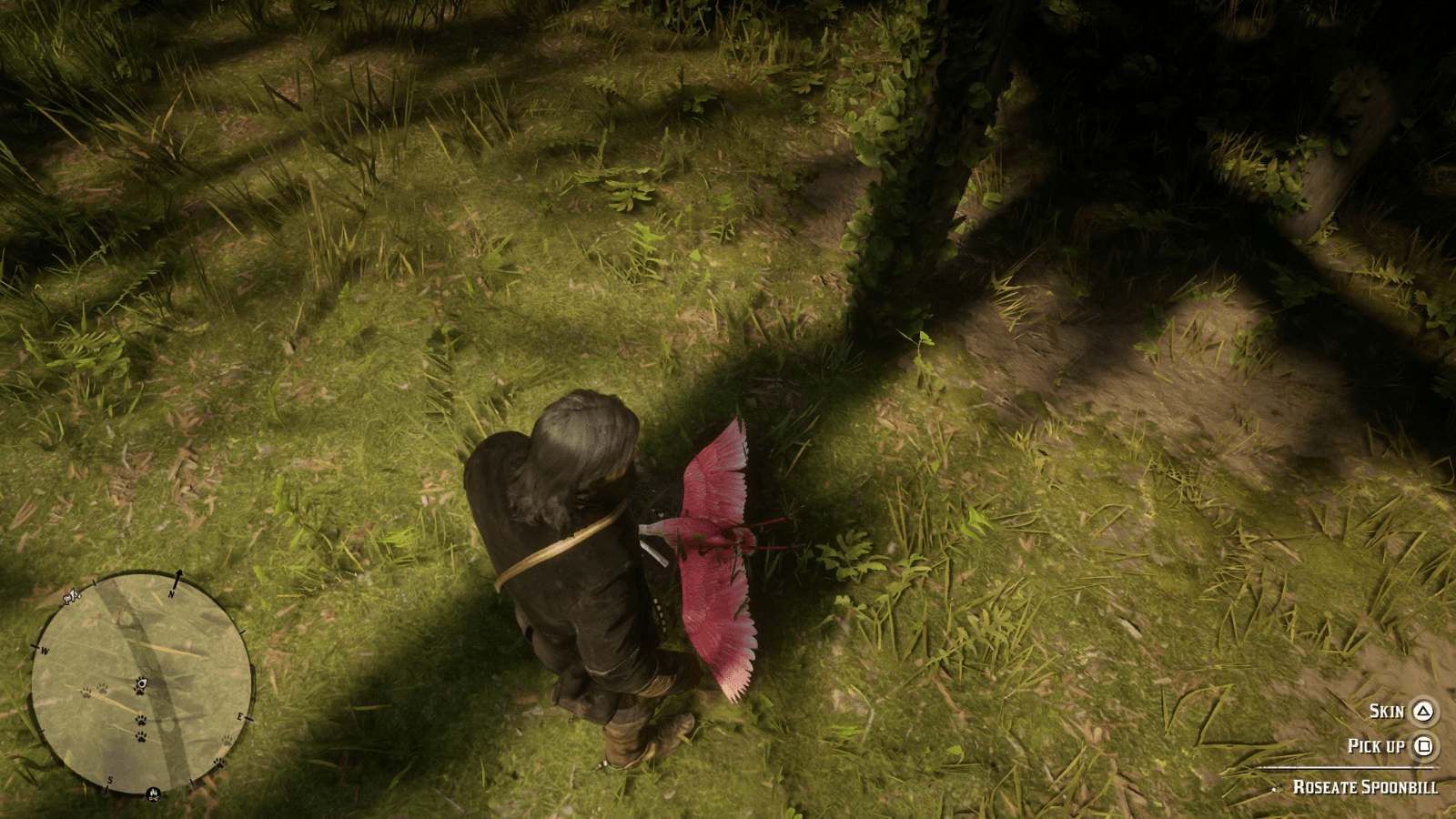 Duchesses and other Animals (Exotics) Walkthrough - Red Dead Redemption ...