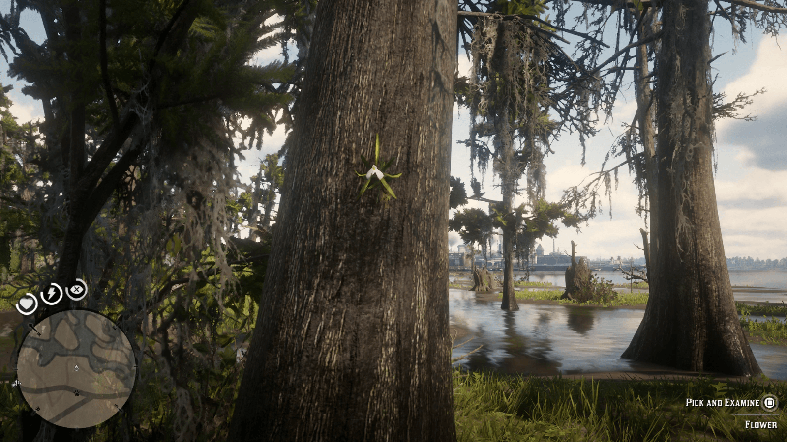 Exotics Collectibles - Red Dead Redemption 2 Walkthrough - Neoseeker