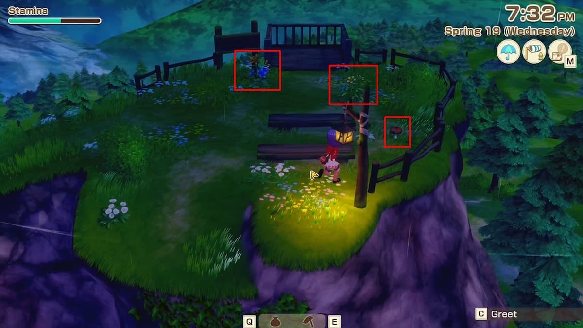 Story of Seasons: Grand Bazaar Foraging Guide - All Forageables List ...