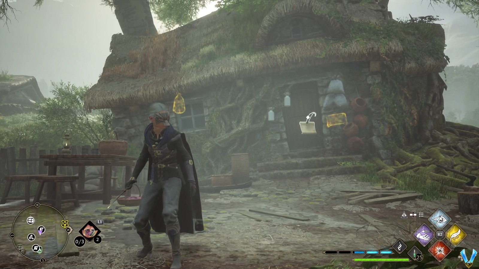 Hogwarts Legacy - All Field Guide Pages - The Highlands Locations Guide ...