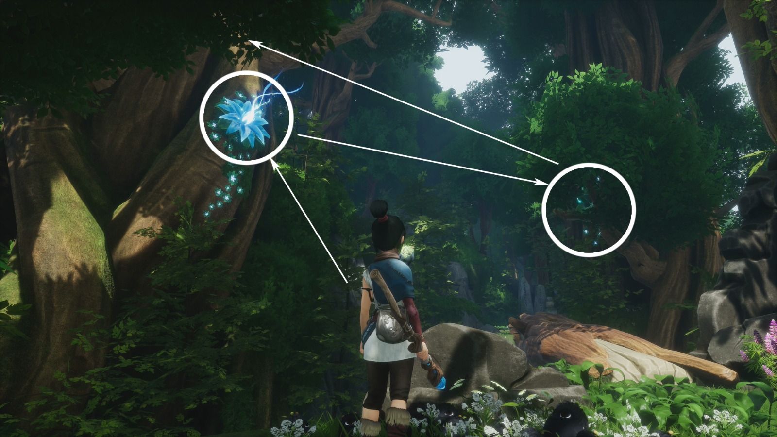 All Spirit Mail Locations - Kena: Bridge of Spirits Walkthrough - Neoseeker