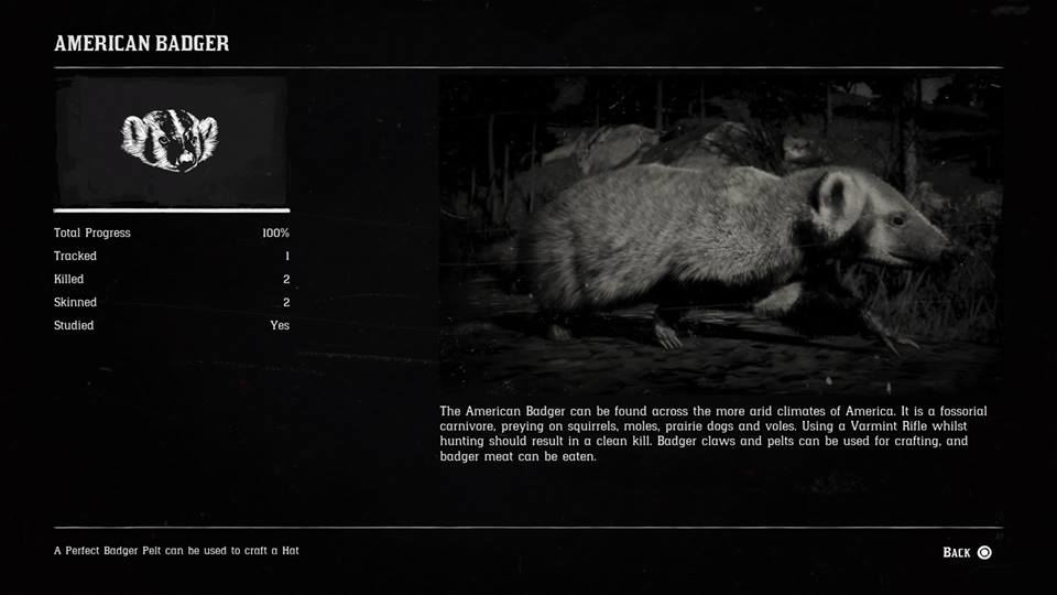 Hunting Page 1 - Red Dead Redemption 2 Walkthrough - Neoseeker