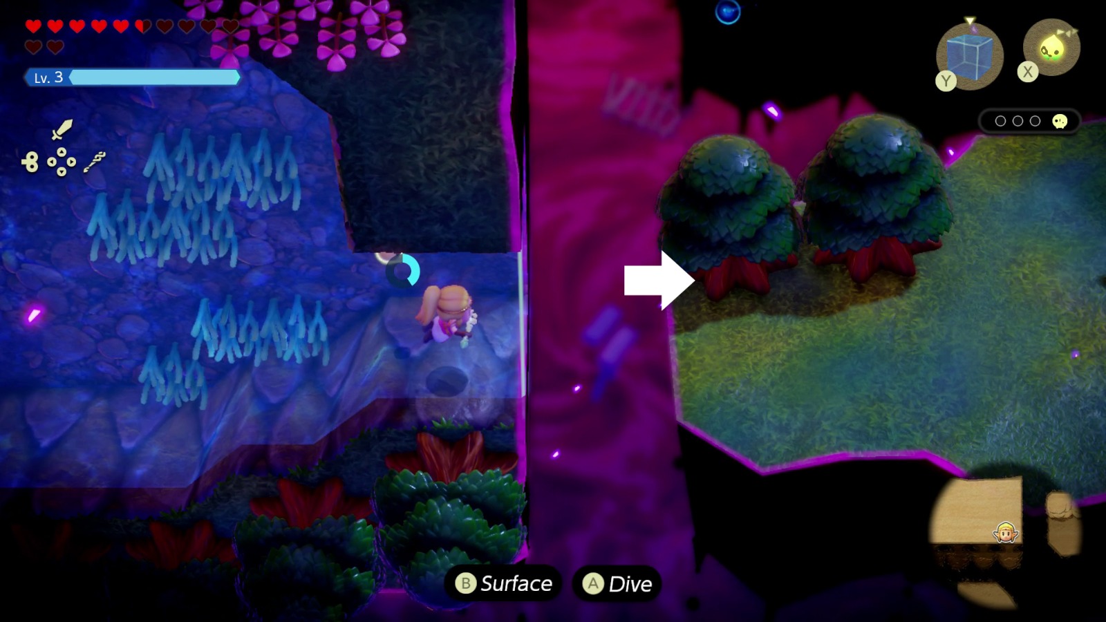 Optional Rift: Stilled Eastern Zora River - The Legend of Zelda: Echoes ...