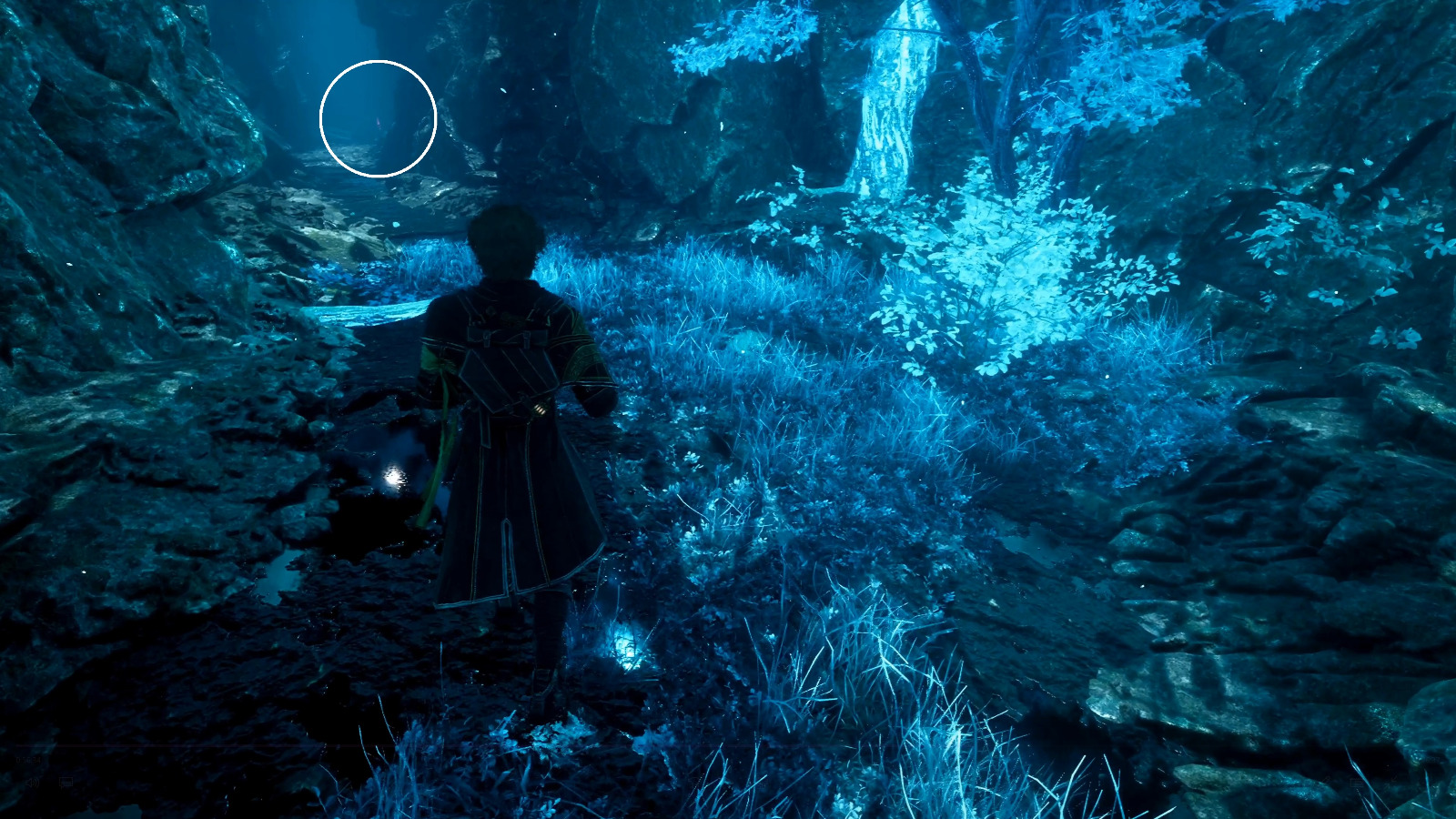 Tint Upgrade Locations - Clair Obscur: Expedition 33 Walkthrough ...