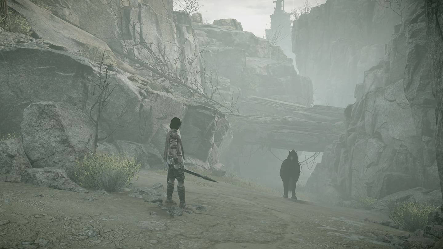 Secret Coin Locations Guide - Shadow of the Colossus PS4 Remaster ...