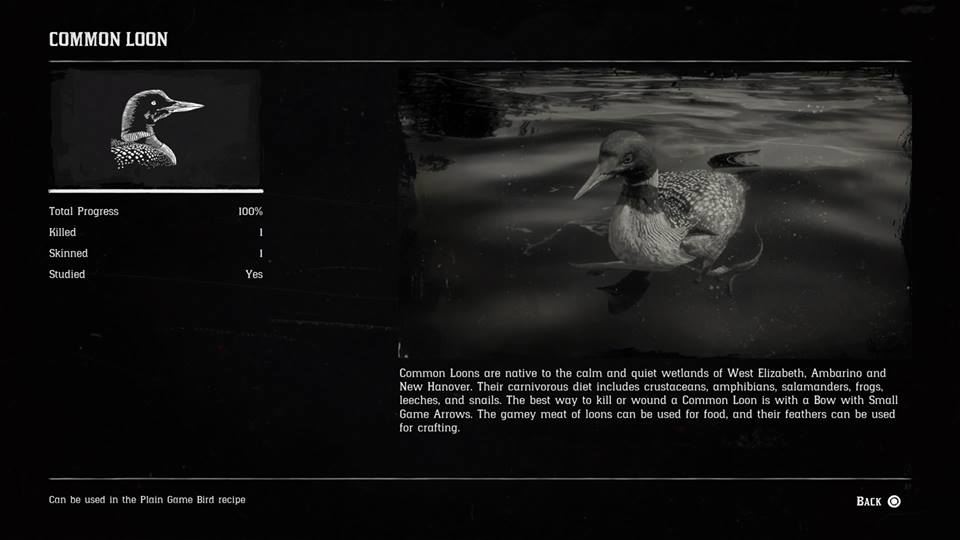 Hunting Page 6 - Red Dead Redemption 2 Walkthrough - Neoseeker