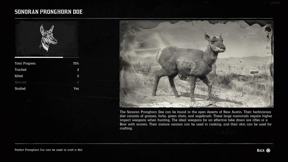 Hunting Page 8 - Red Dead Redemption 2 Walkthrough - Neoseeker