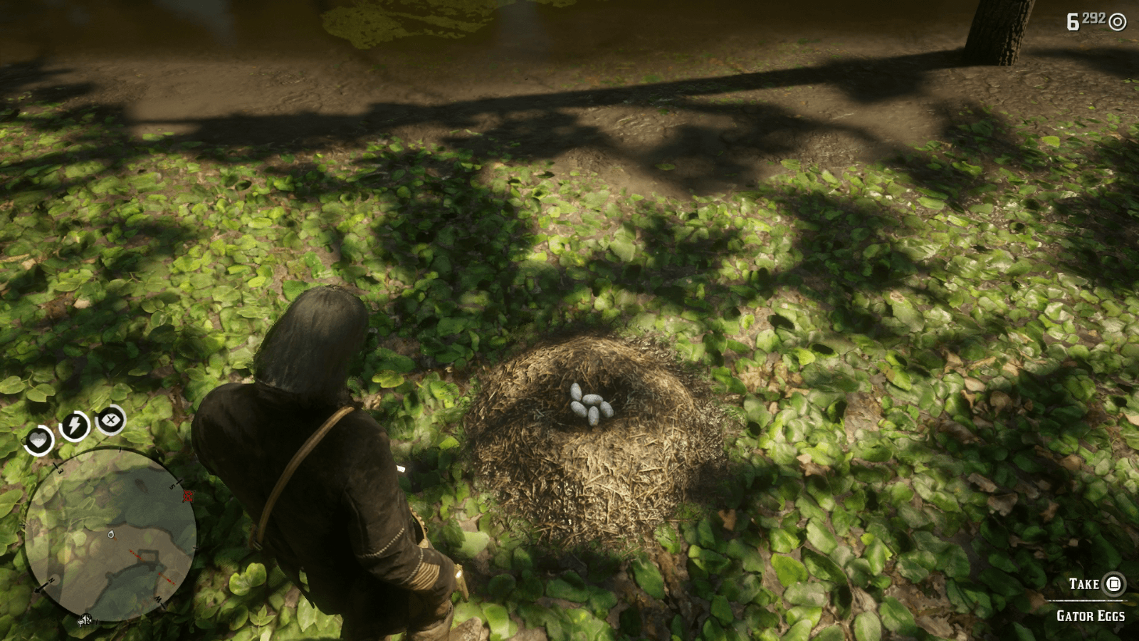 Exotics Collectibles - Red Dead Redemption 2 Walkthrough - Neoseeker