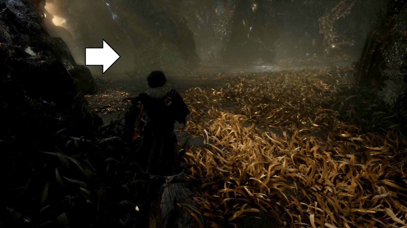 Inside the Monolith - Clair Obscur: Expedition 33 Walkthrough - Neoseeker