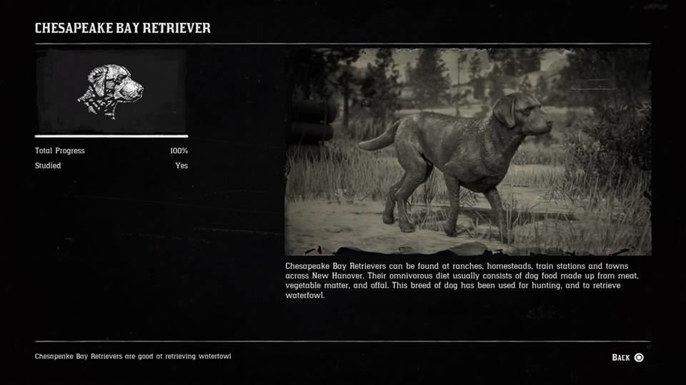 Hunting Page 4 - Red Dead Redemption 2 Walkthrough - Neoseeker