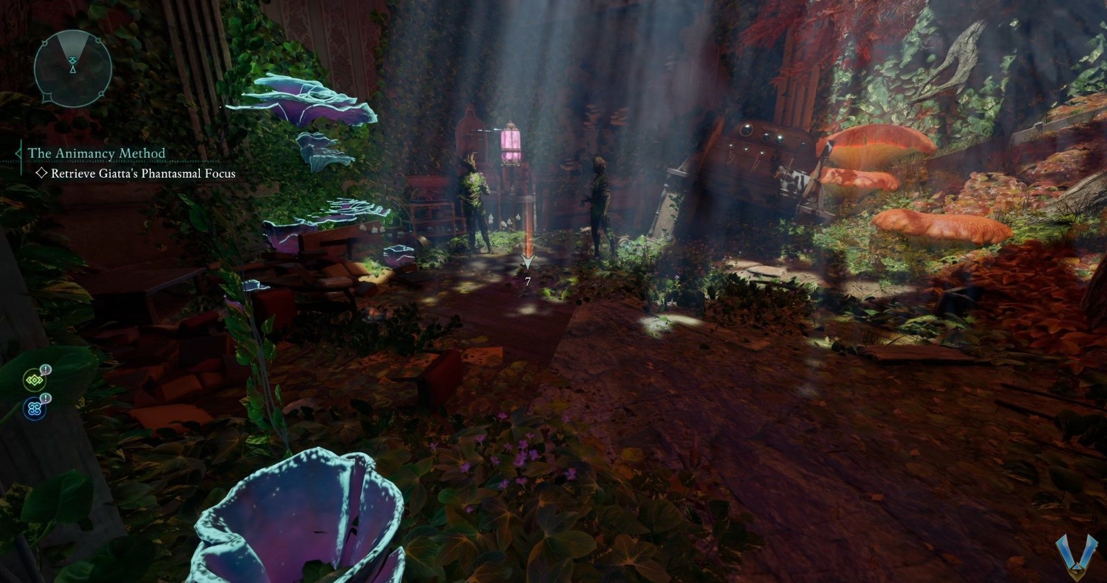 The Animancy Method - Avowed Walkthrough - Neoseeker