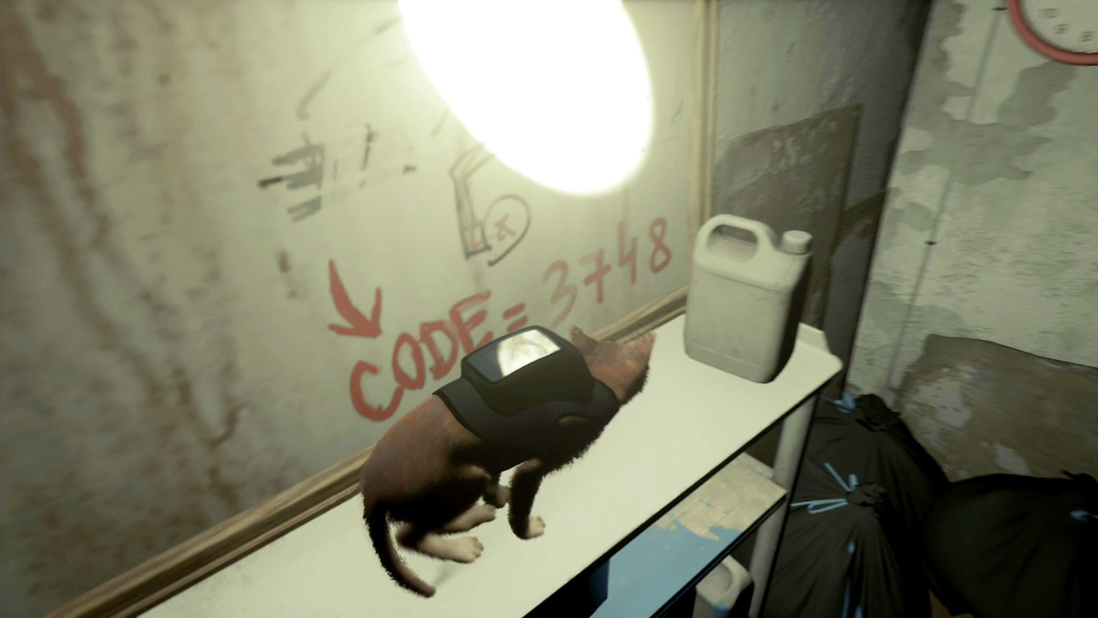 The Flat - Stray (2022) Walkthrough and Guide - Neoseeker