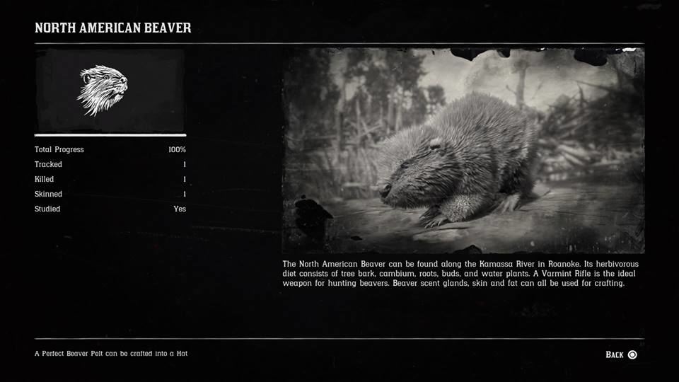 Hunting Page 1 - Red Dead Redemption 2 Walkthrough - Neoseeker