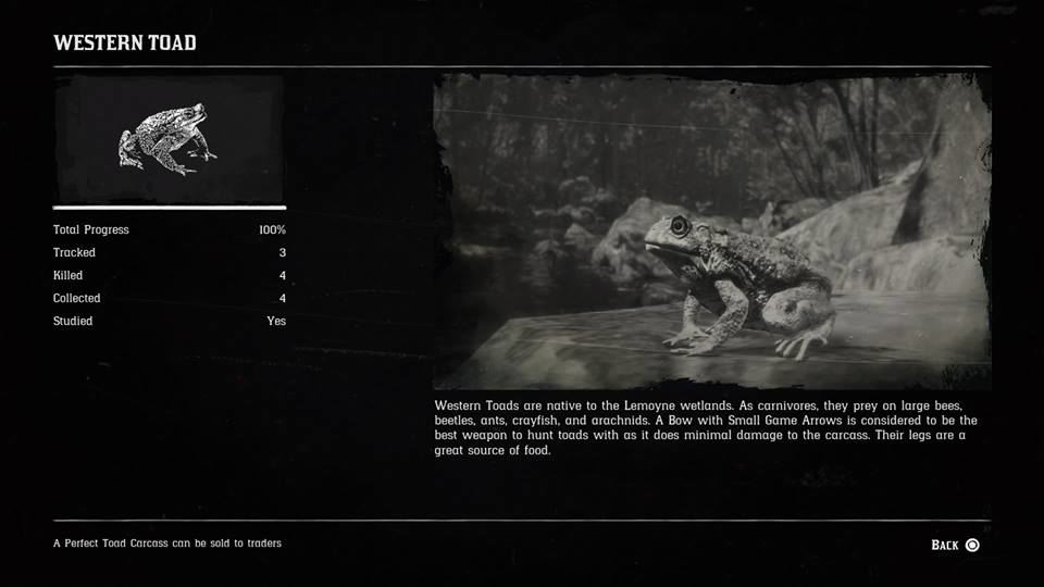 Hunting Page 11 - Red Dead Redemption 2 Walkthrough - Neoseeker