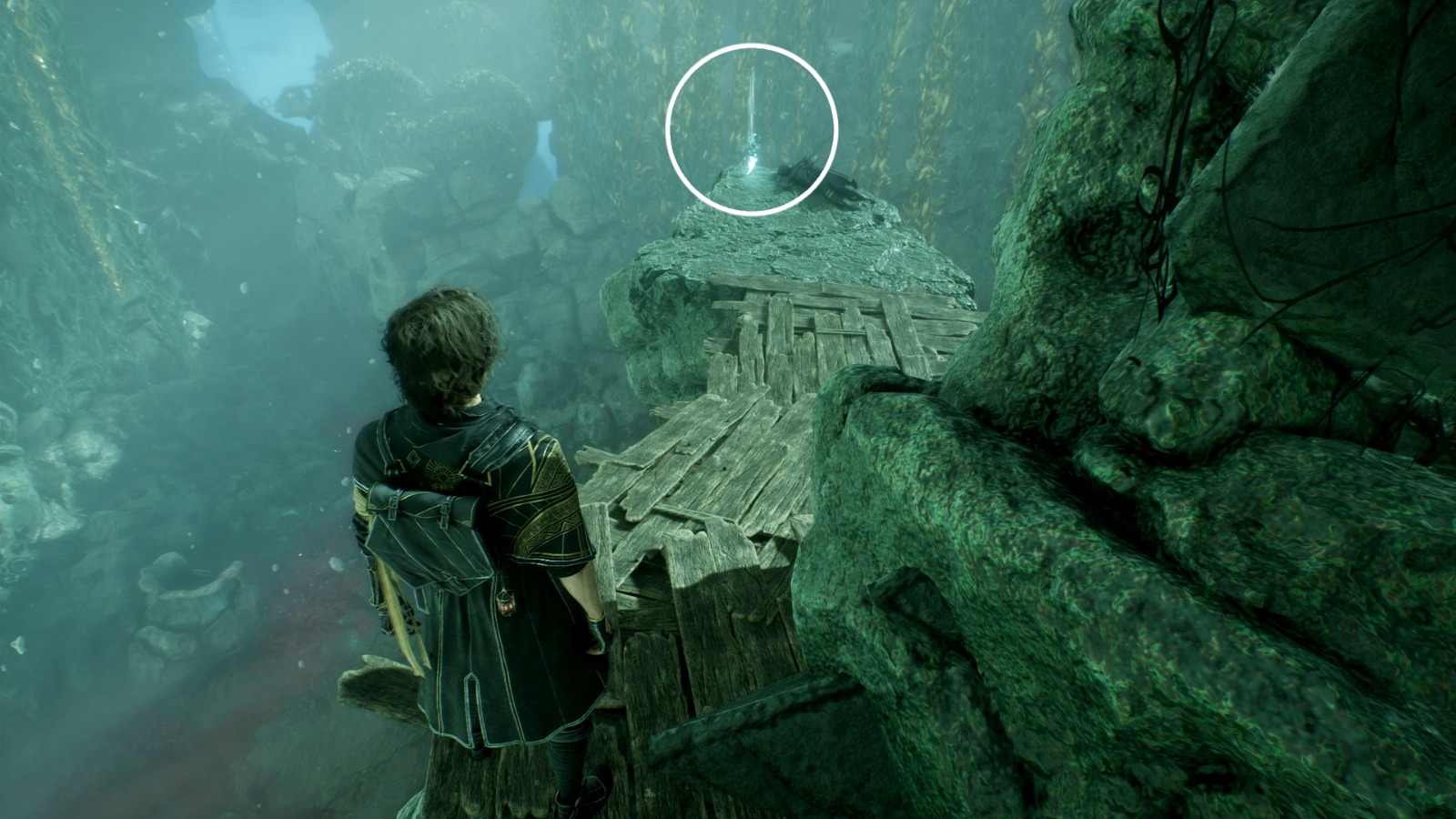 Flying Waters - Clair Obscur: Expedition 33 Walkthrough - Neoseeker