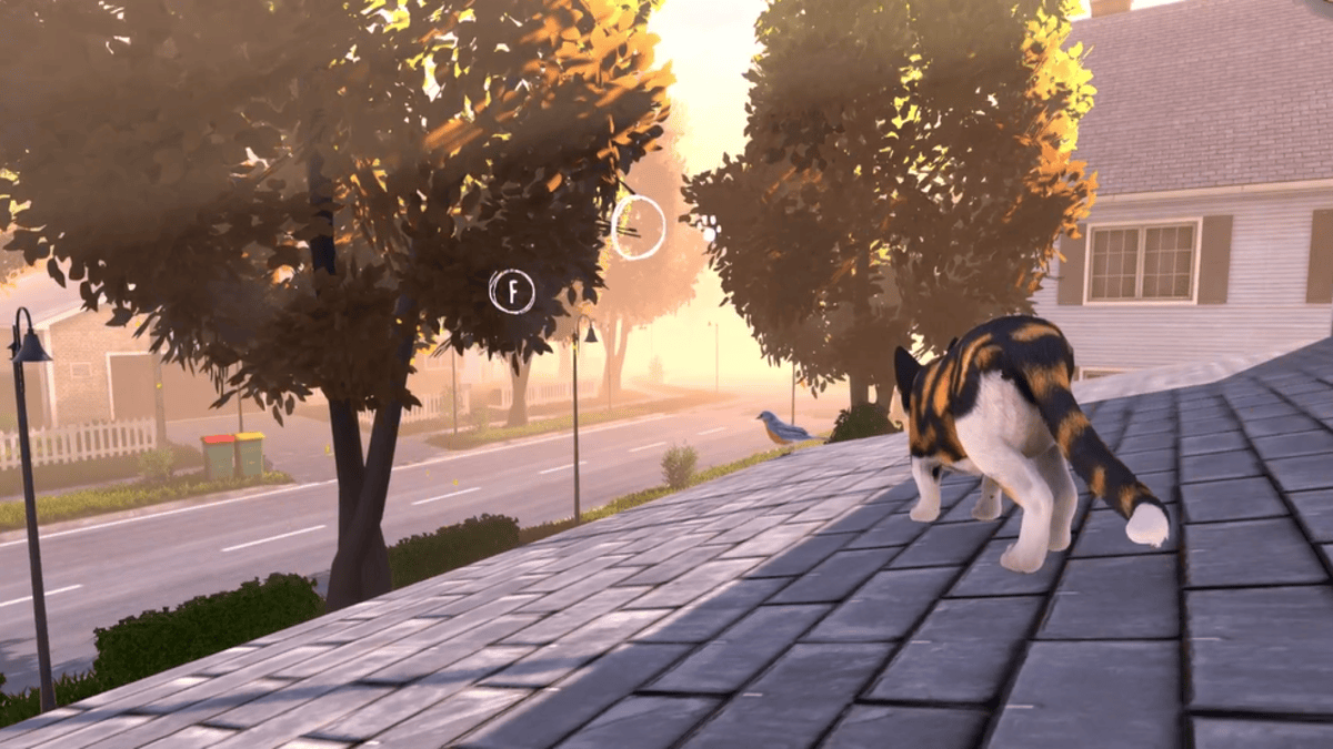 How to Catch a Bird - Copycat (2024) Walkthrough - Neoseeker