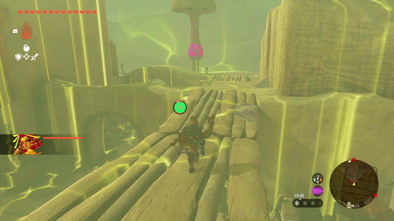 Riju of Gerudo Town - The Legend of Zelda: Tears of the Kingdom ...