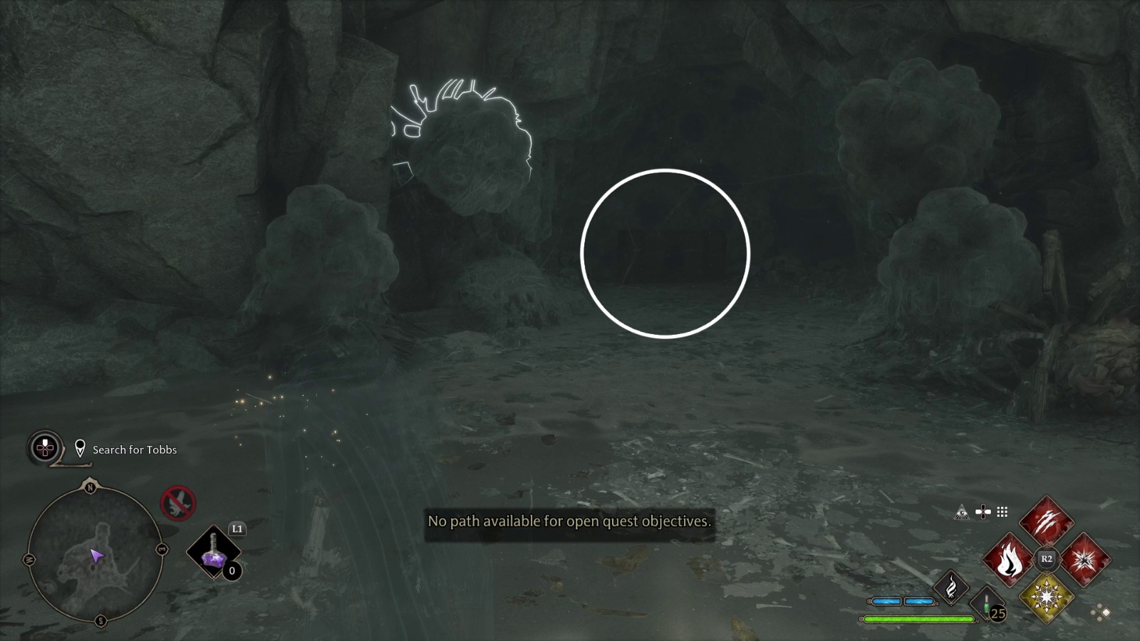 The Plight of the House-Elf - Hogwarts Legacy Walkthrough - Neoseeker