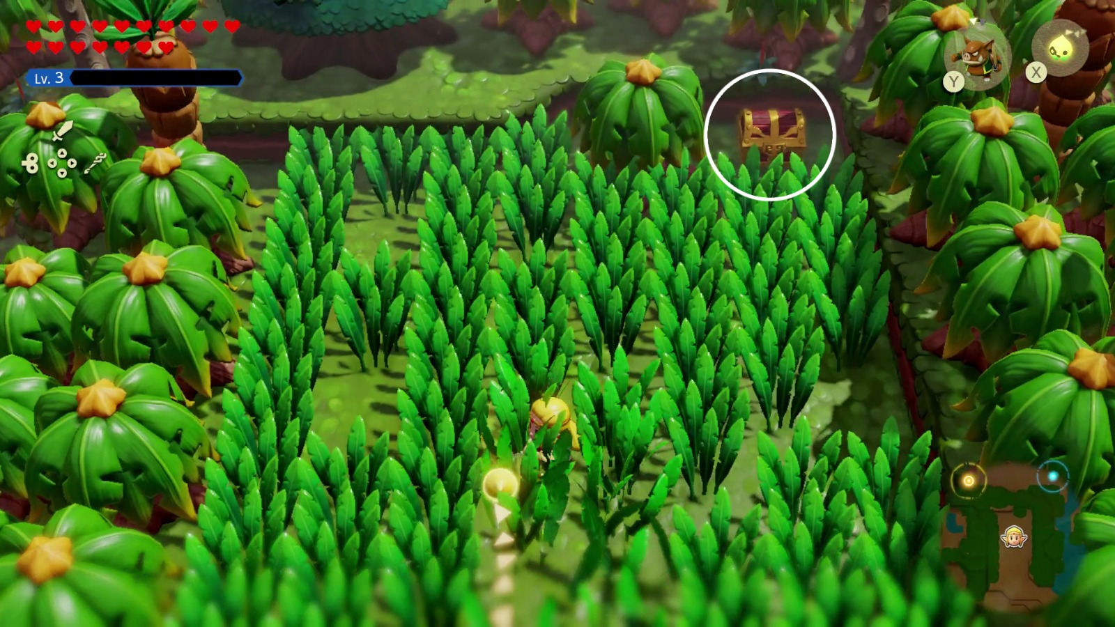 Faron Wetlands Exploration - The Legend of Zelda: Echoes of Wisdom ...