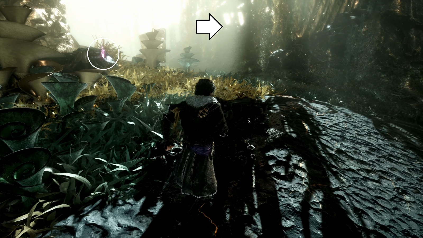 Inside the Monolith - Clair Obscur: Expedition 33 Walkthrough - Neoseeker