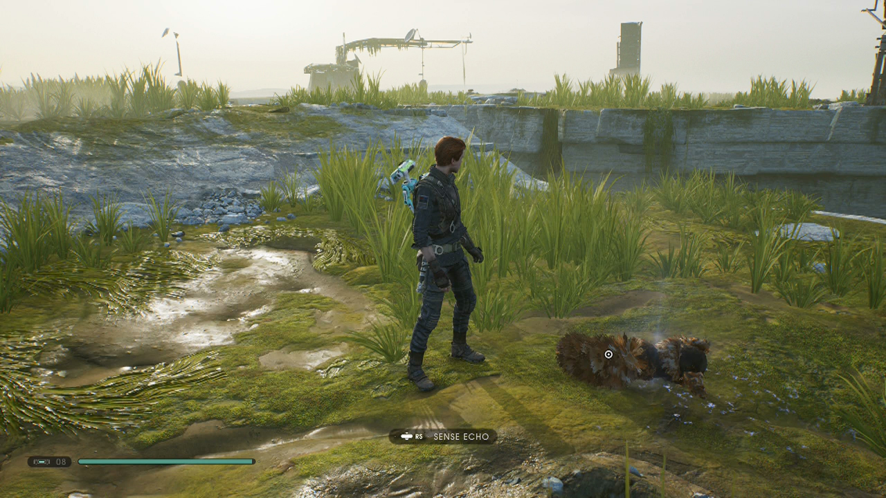 Bogano Collectible Locations - Star Wars: Jedi Fallen Order Walkthrough ...