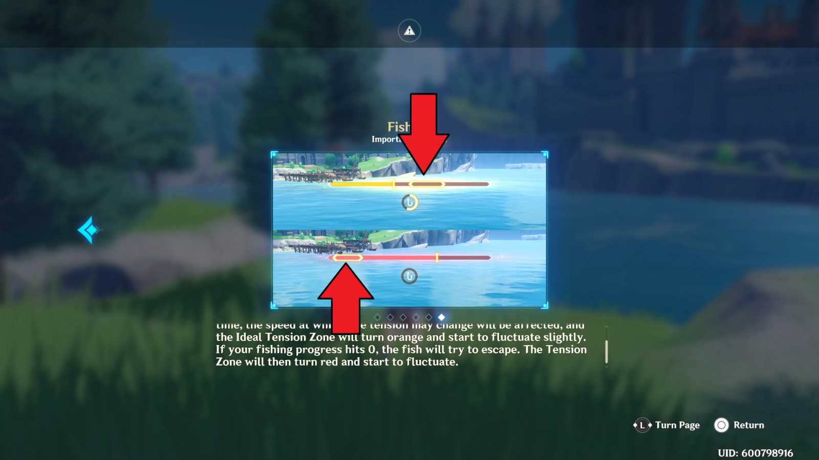 Genshin Impact - Fishing Guide - Neoseeker