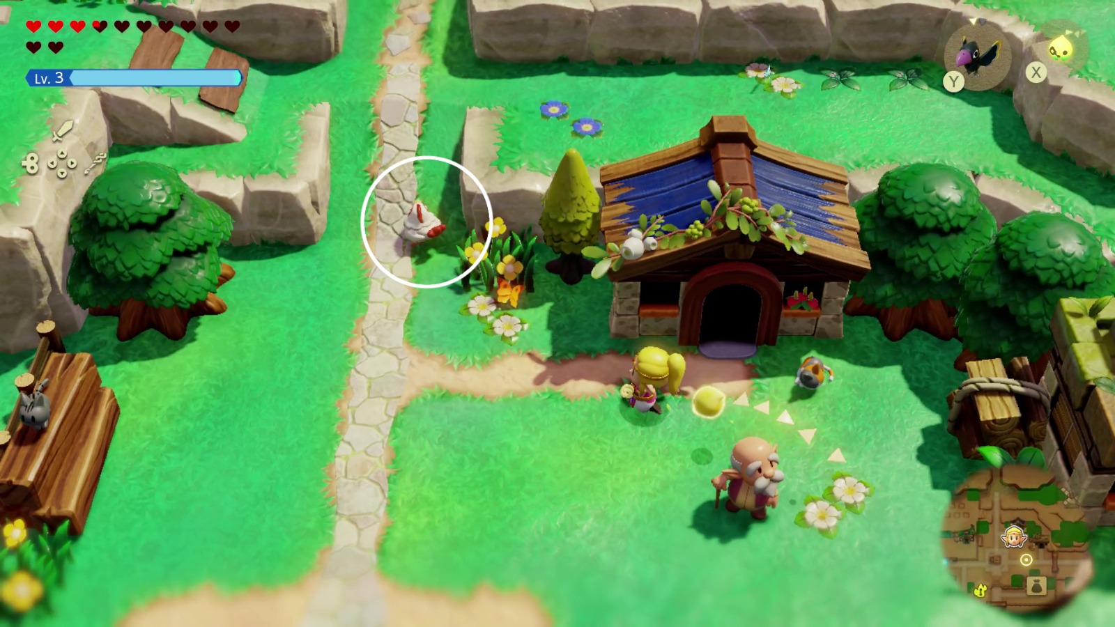 Side Quest: Cuccos on the Loose - The Legend of Zelda: Echoes of Wisdom ...