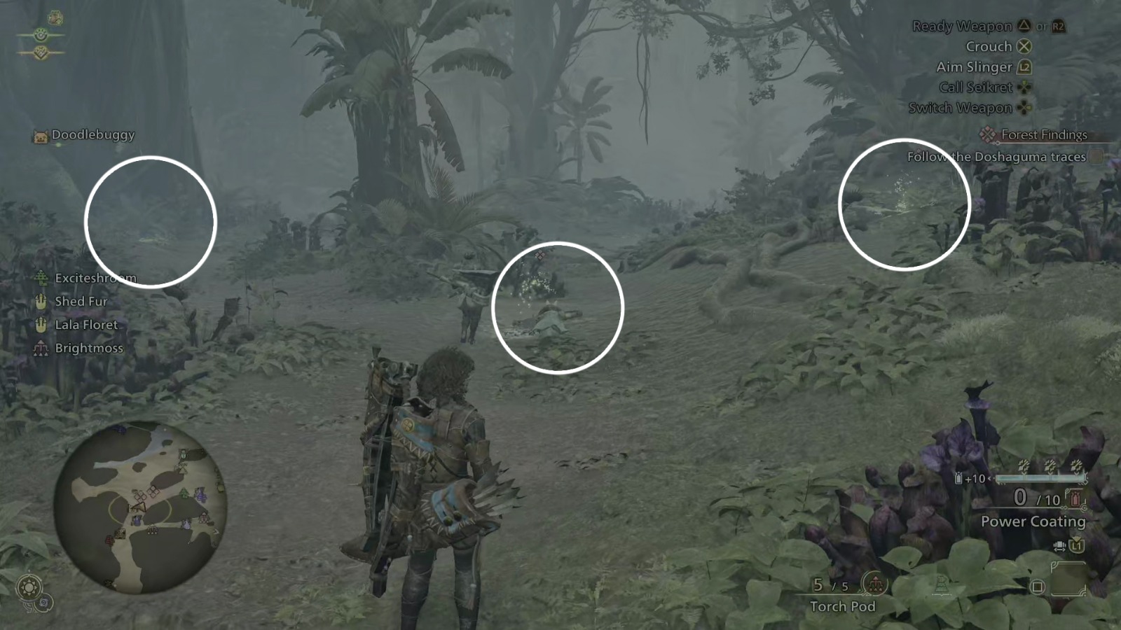 Forest Findings - Monster Hunter Wilds Walkthrough - Neoseeker