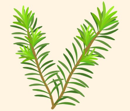 Out and About - Maps and Foraging Guide - Neoseeker
