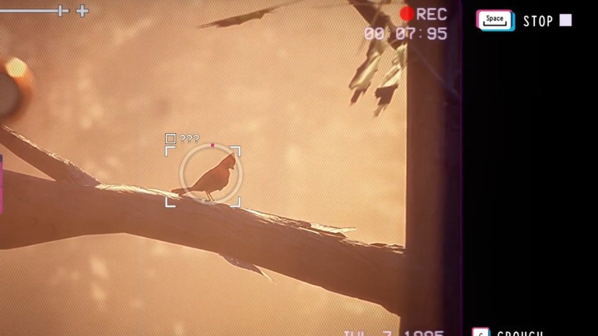 Lost Records: Bloom & Rage Swann Holloway, 1995 Guide - Neoseeker