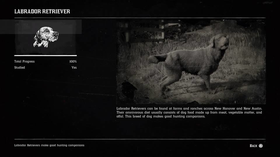 Hunting Page 4 - Red Dead Redemption 2 Walkthrough - Neoseeker